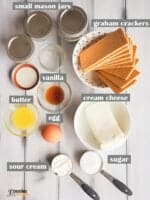 Mason Jar Cheesecake » Foodies Terminal