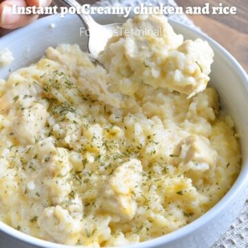 Instant Pot Creamy Chicken and Rice » Foodies Terminal